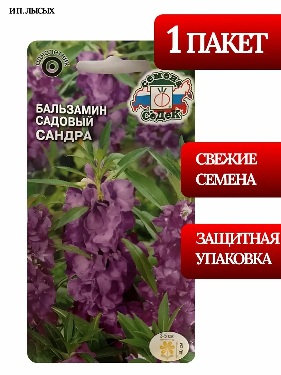 Семена Бальзамин "Сандра"
