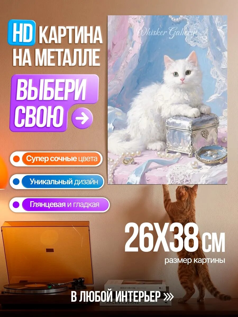Картина на HD металле Белый котенок на шкатулке