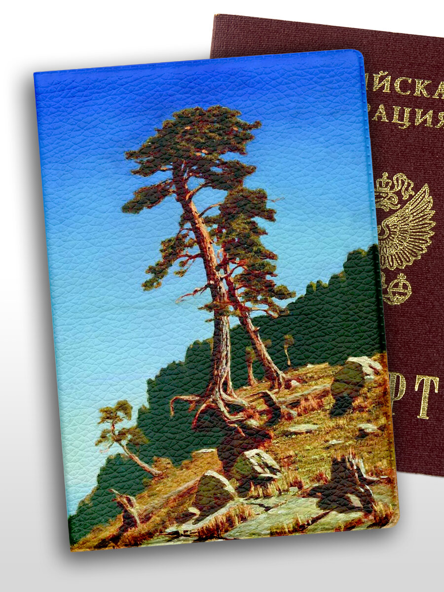 Обложка для паспорта
