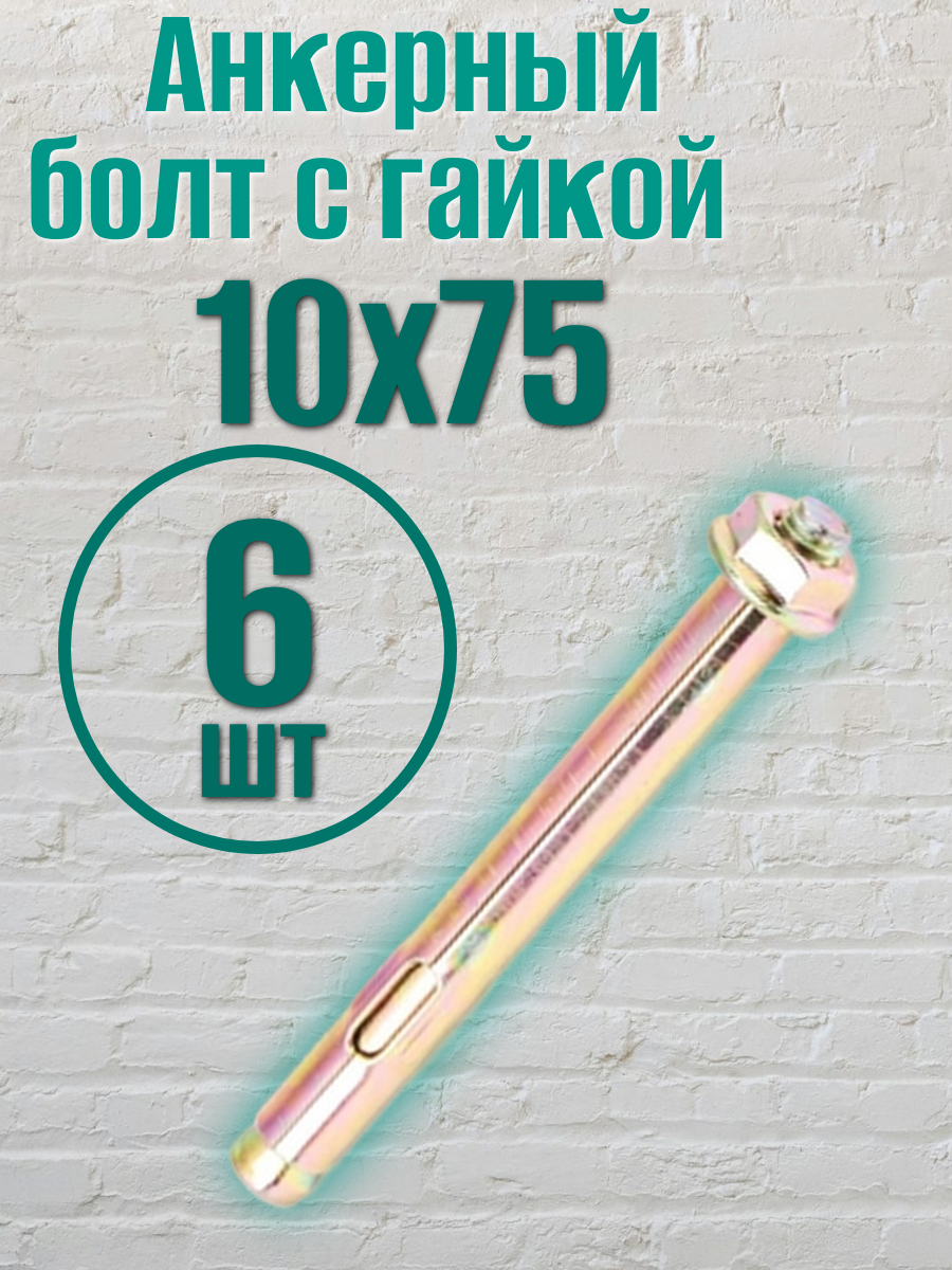 Анкерный болт с гайкой 10х75 (6 шт)