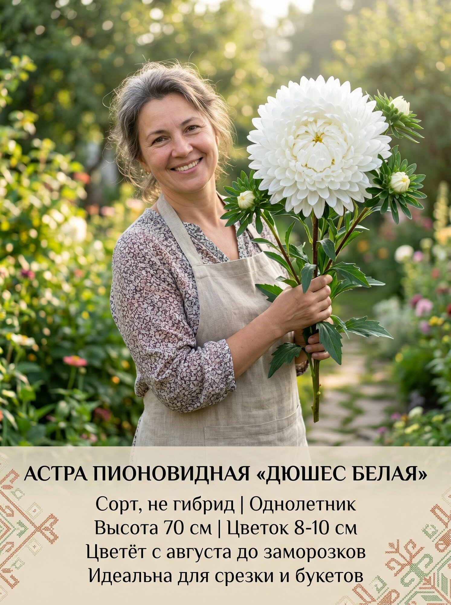 Астра Дюшес Белая (0,2 г) пионовидная, белоснежная, 70 см, для клумб и срезки, однолетник