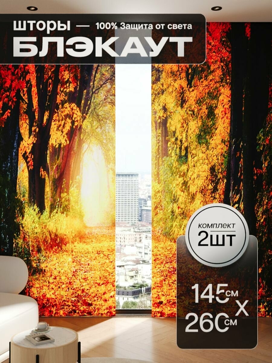 Шторы блэкаут 145x260 см 2 шт на окна плотные комплект