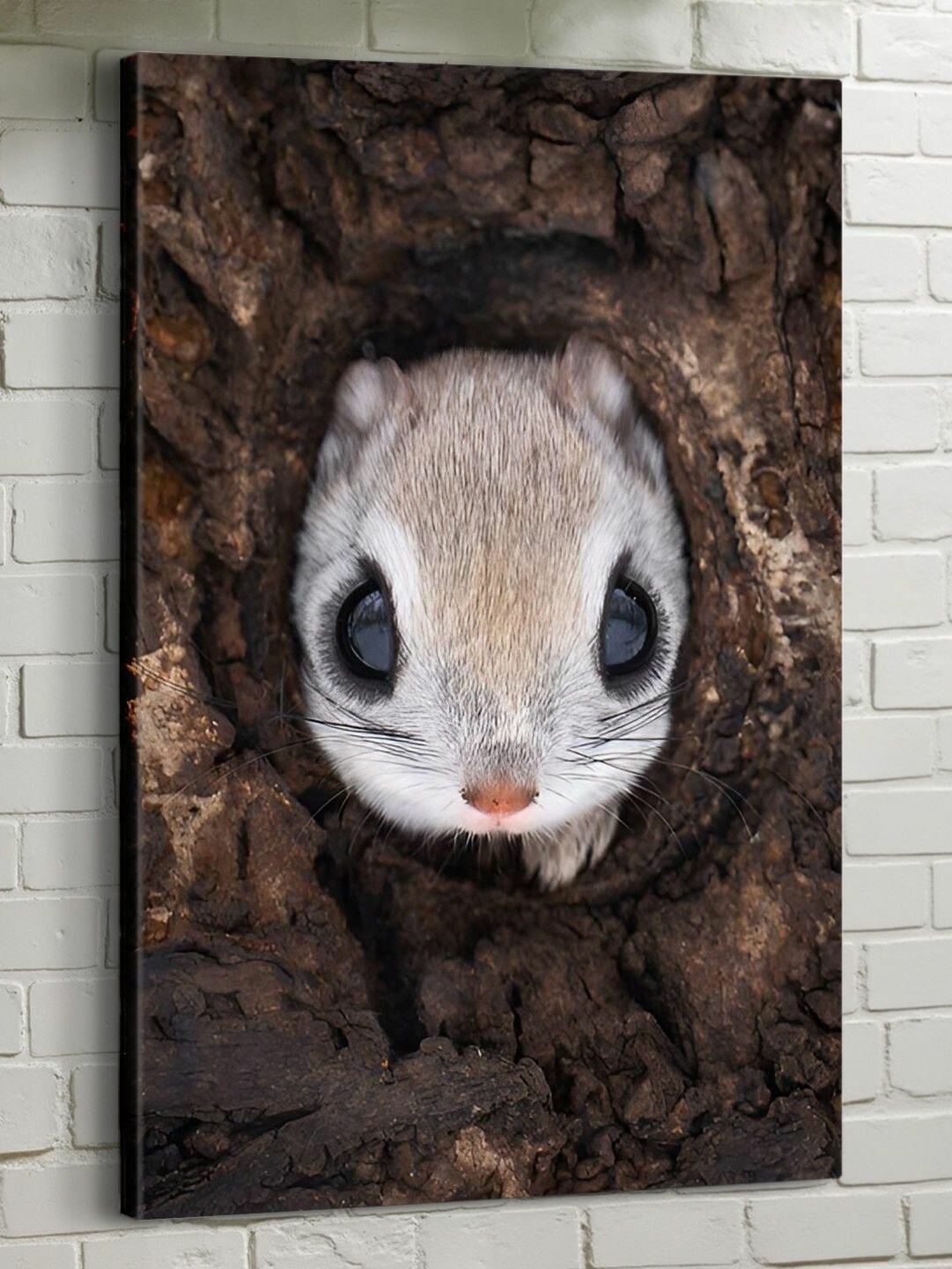 "Peep!" - картина на холсте, 45x30 см.