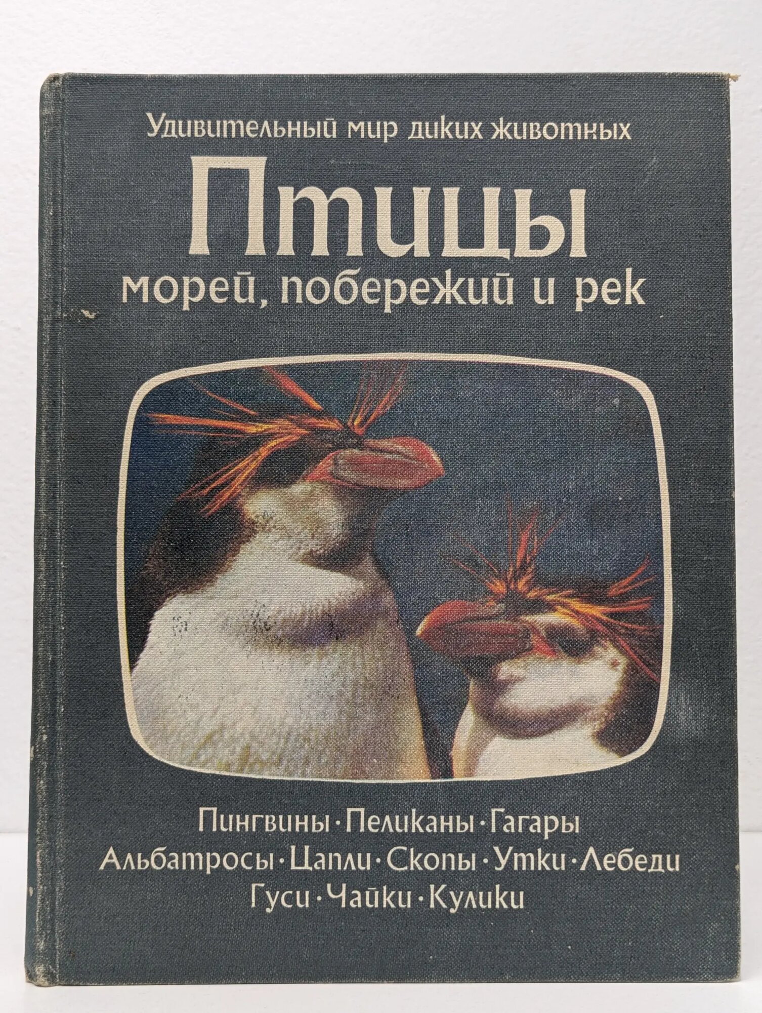 Птицы морей, побережий и рек Брэдбери Уилл 1983