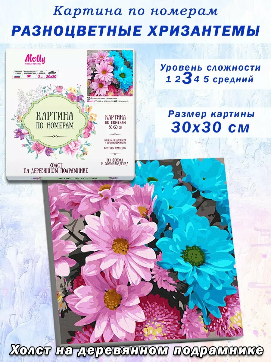 Molly (Молли) Картина по номерам "Разноцветные хризантемы" (22 цвета), 30х30 см