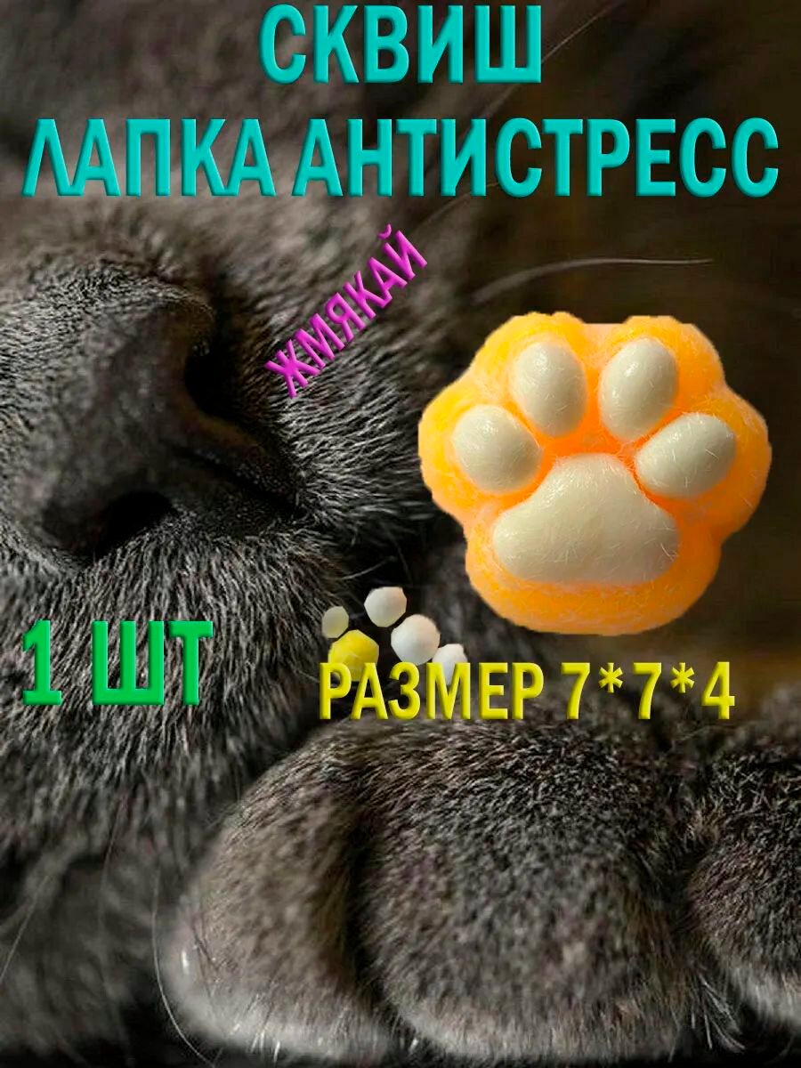 Сквиш антистресс игрушка сквиш лапка котика