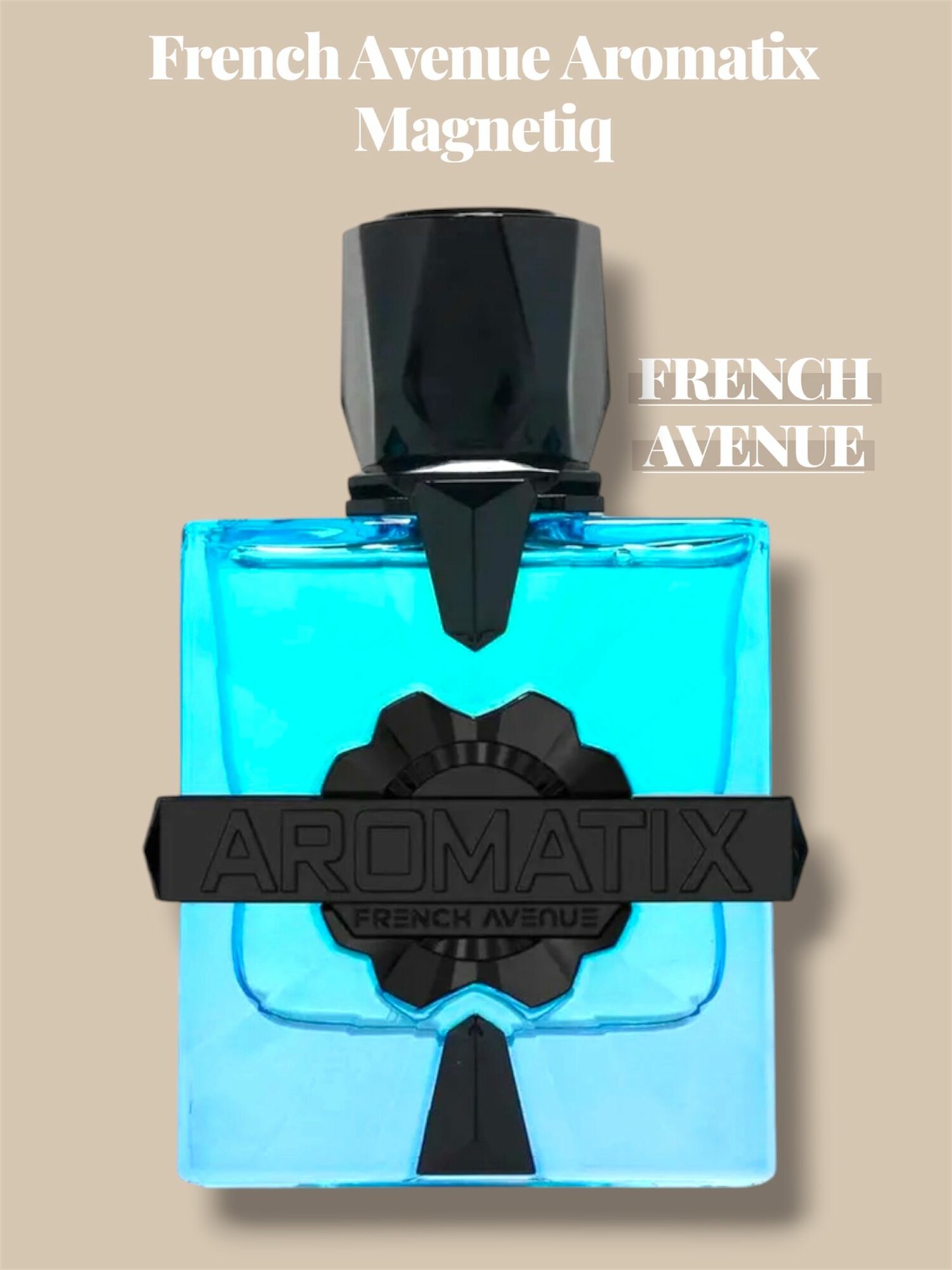 Парфюмерная вода French Avenue Aromatix Magnetiq , мужской аромат, 100мл