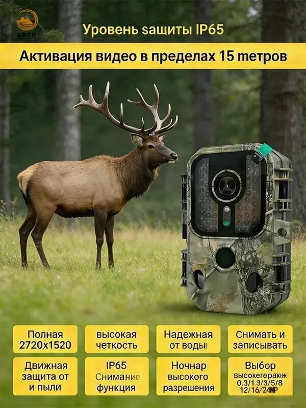 Фотоловушка