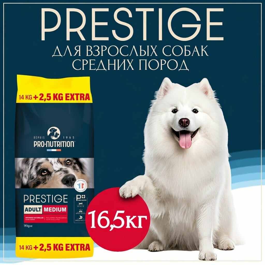 NEW Сухой корм для собак средних пород Flatazor Prestige Medium 14+2,5 кг для взрослых супер премиум птица для кожи шерсти и комфортного пищеварения Франция