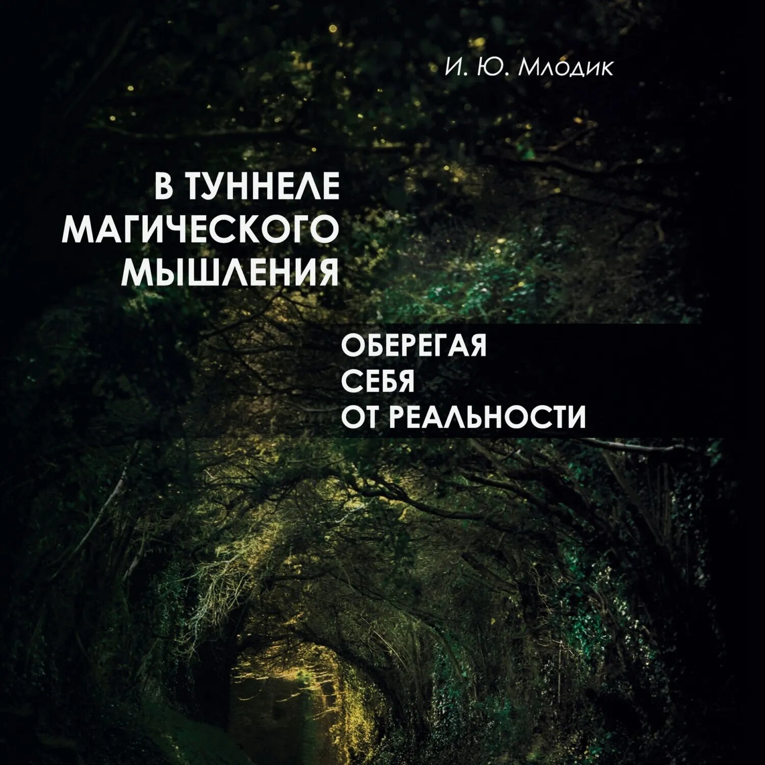 В туннеле магического мышления. Оберегая себя от реальности [Аудиокнига]