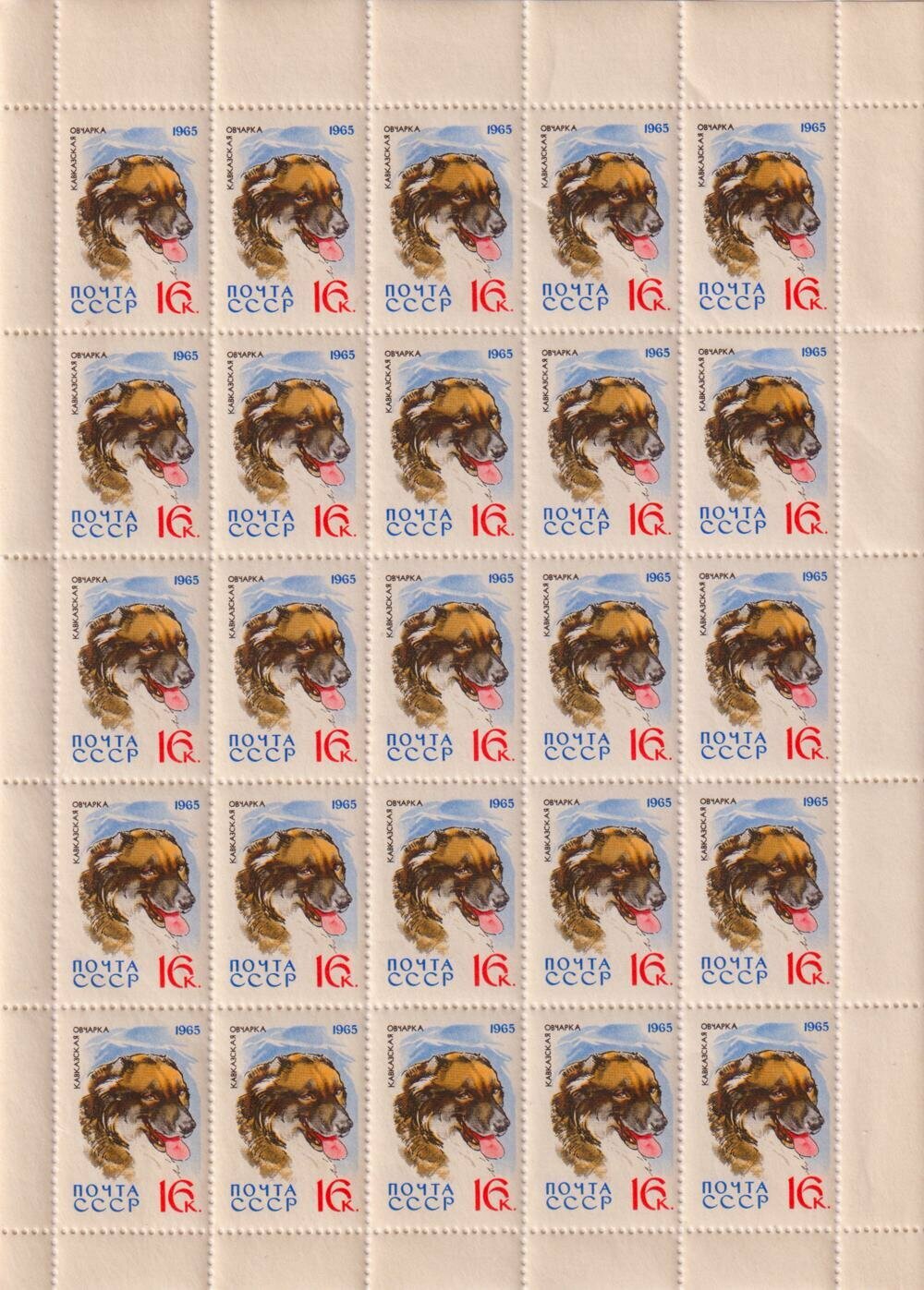 Почтовые марки СССР 1965г. "Кавказская овчарка" Собаки MNH