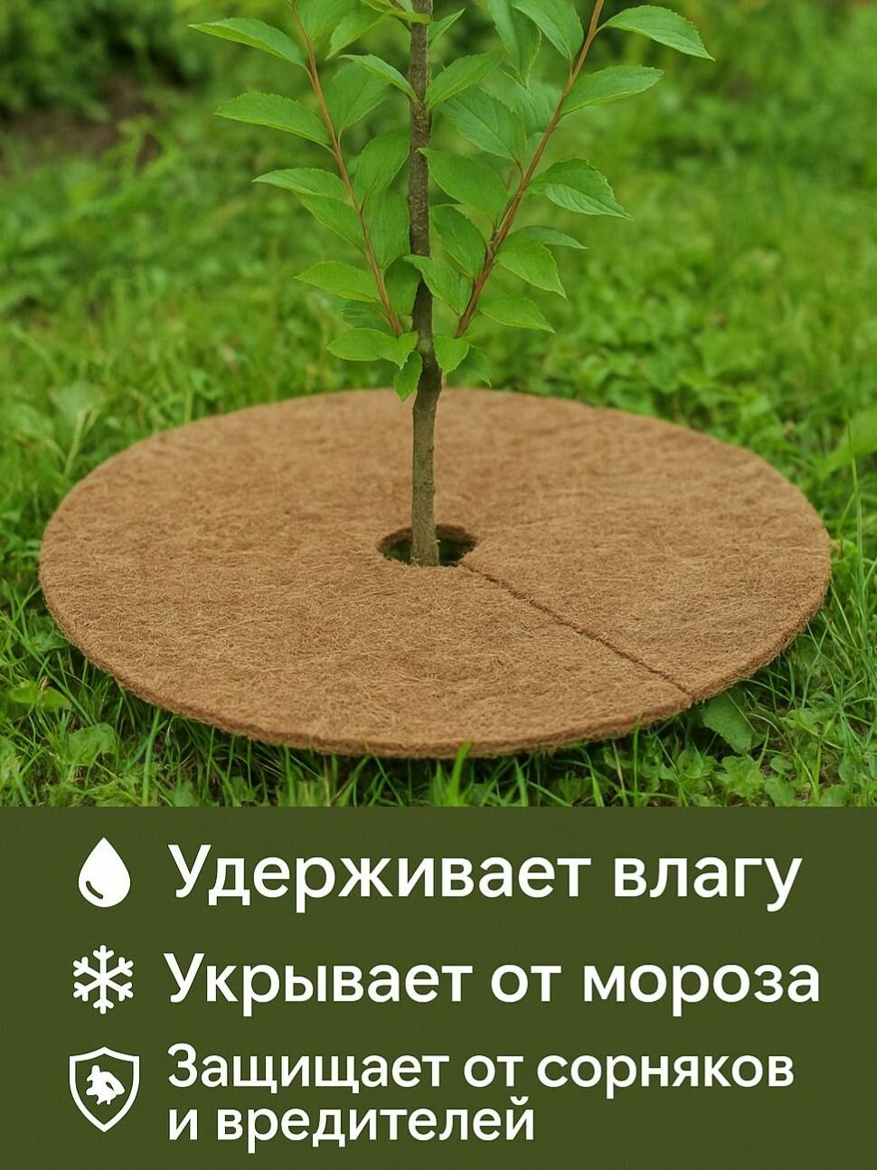 Субстрат кокосовый диск, диаметр: 30 см, 100% из кокосового волокна — фото 1