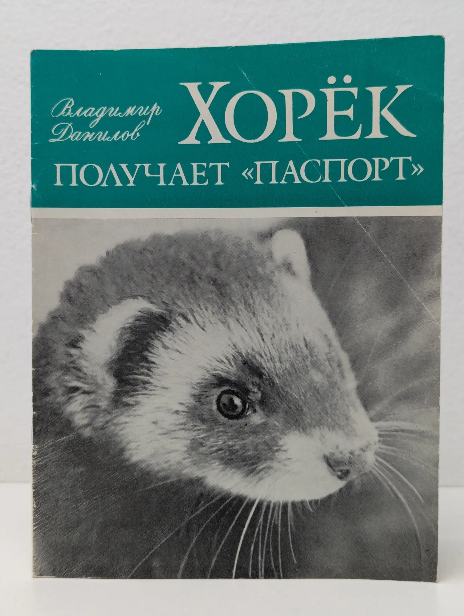 Хорек получает "паспорт" Данилов Владимир Владимирович 1988