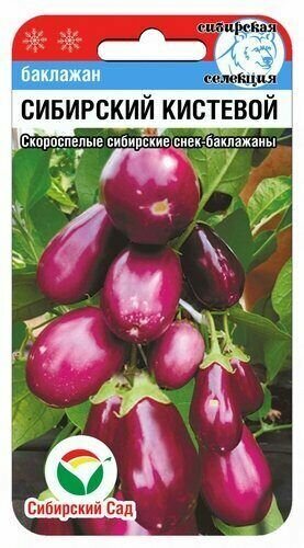 Баклажан Сибирский кистевой Сибирский сад (1 пачка-20 штук семян)