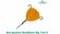 Инструмент EastShark Rig Tool 5