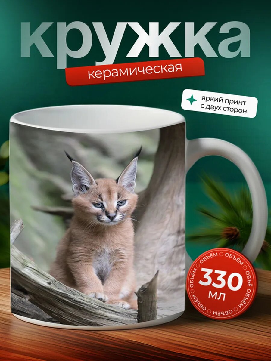 Кружка Маврикийский коралл кот 38,