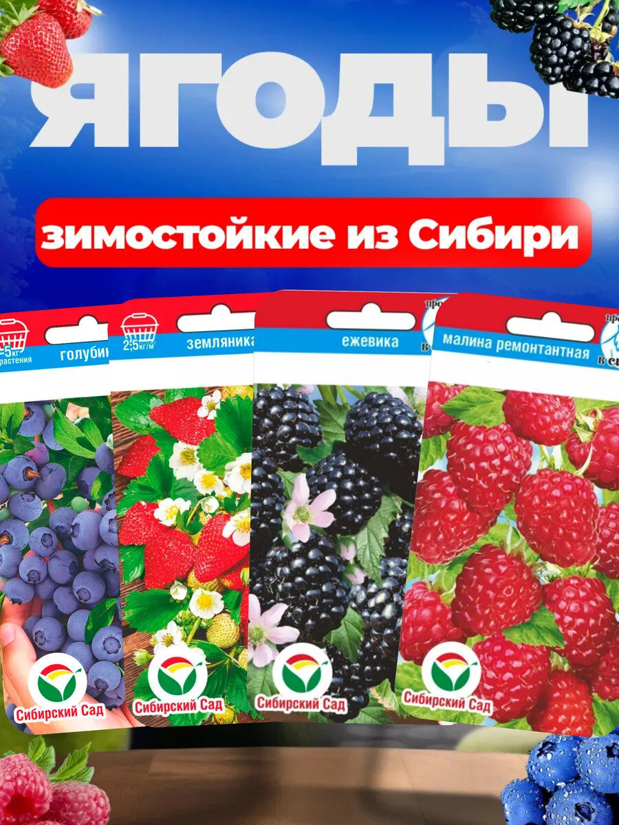 Cемена голубика ежевика земляника малина 4 пакета
