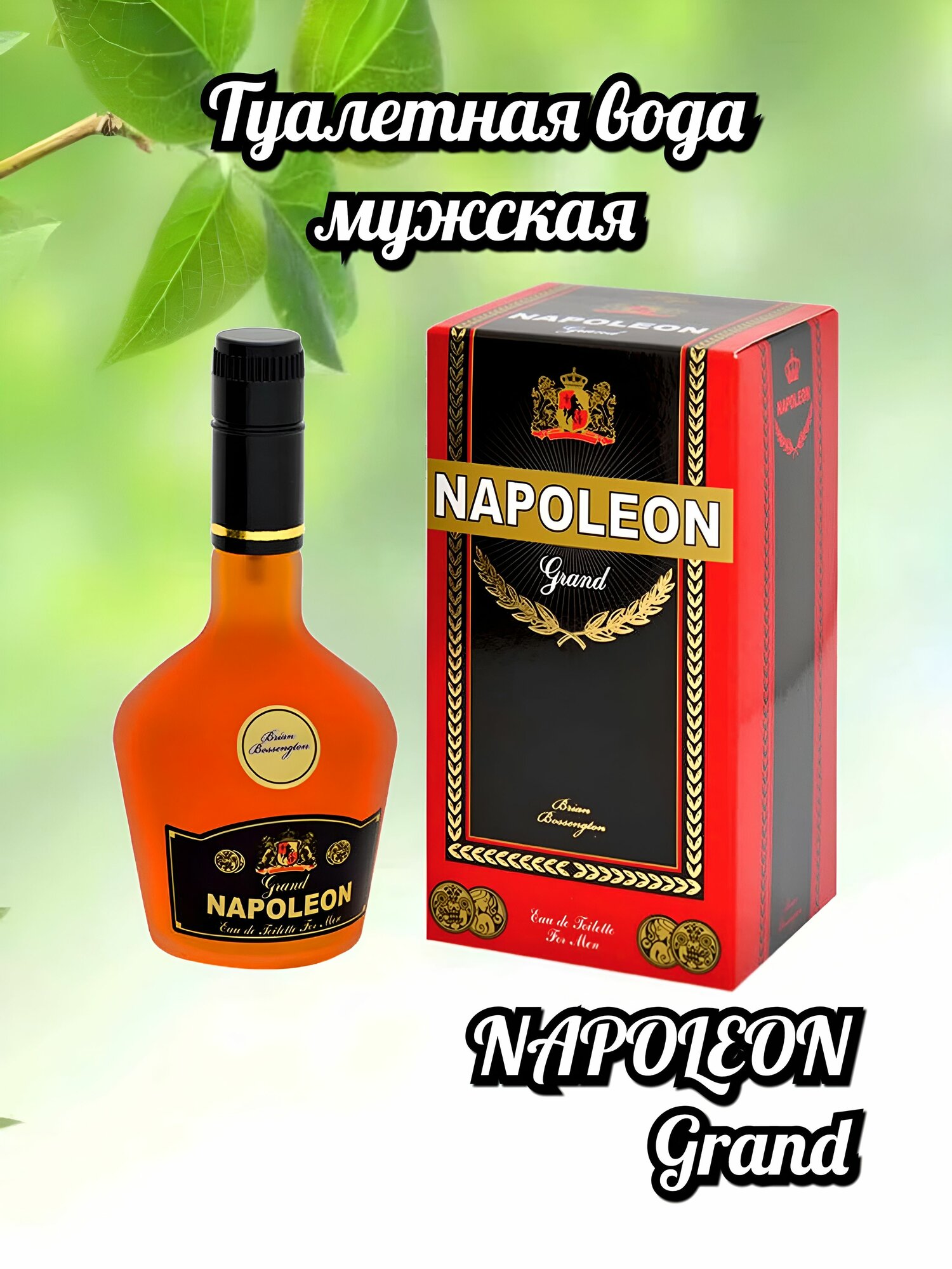 Туалетная вода мужская NAPOLEON Grand / 93 мл