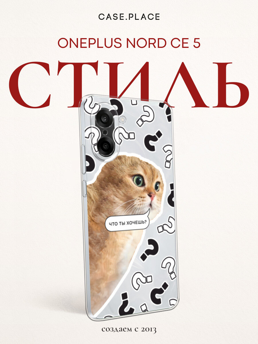 Чехол на OnePlus Nord CE 5 / ВанПлас Норд СЕ 5 с принтом С котом парный, прозрачный