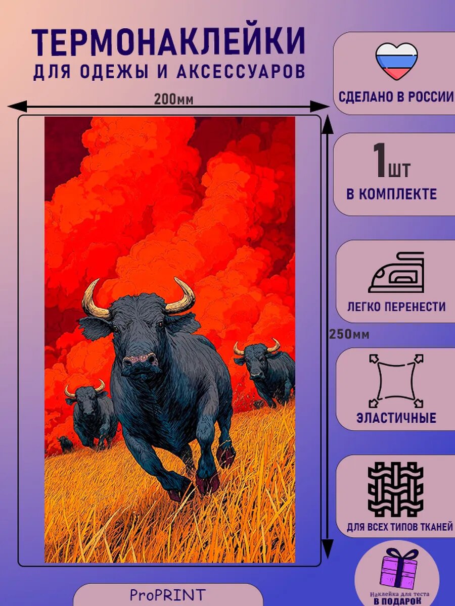 Термонаклейка на одежду