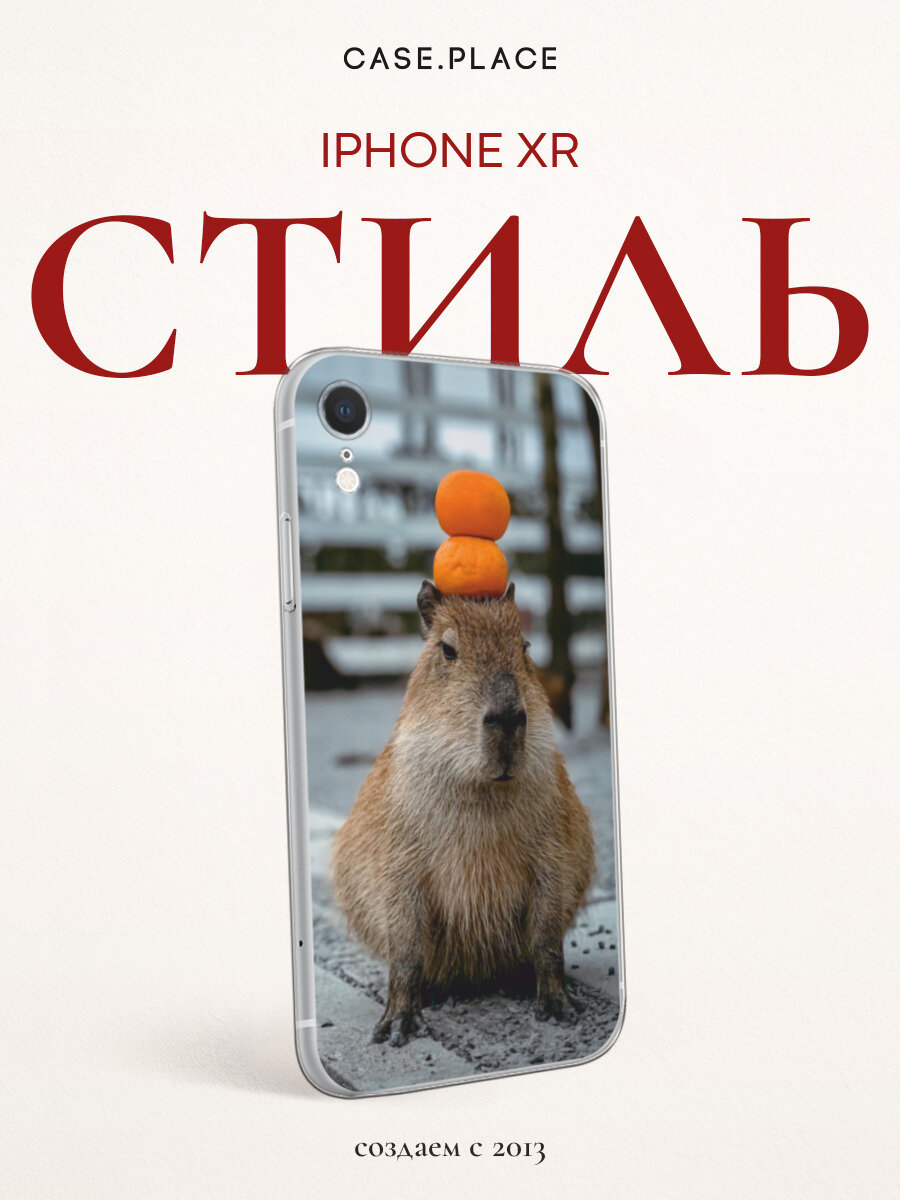 Чехол на Apple iPhone XR / Айфон XR с принтом Капибара медитирует
