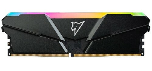 Оперативная память Netac NTSRD4P26SP-08E