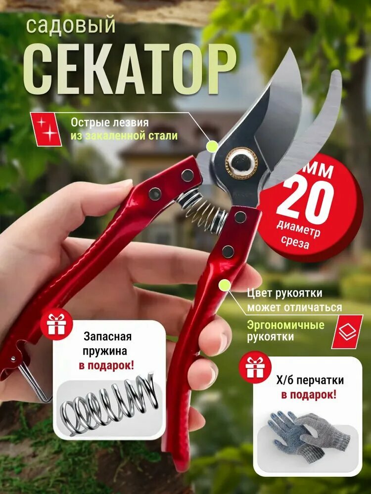 Секатор