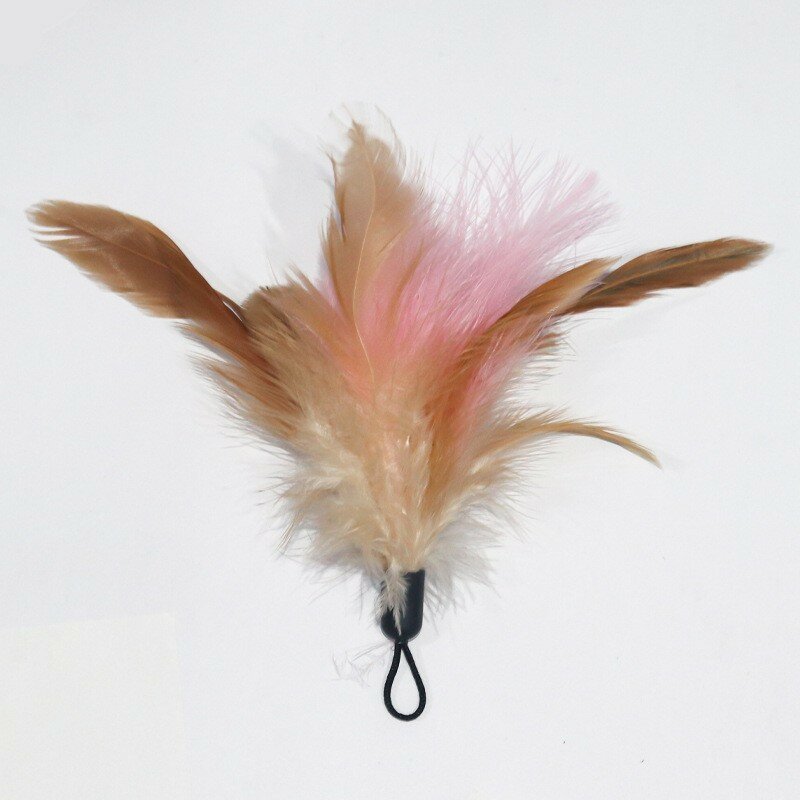 Прямая поставка с завода: длинная стальная проволока для кошачьего дразнильника, перо, колокольчик, замена головки дразнилки для кошек, интерактивная игрушка для самостоятельного развлечения, долговечная игрушка для кошек