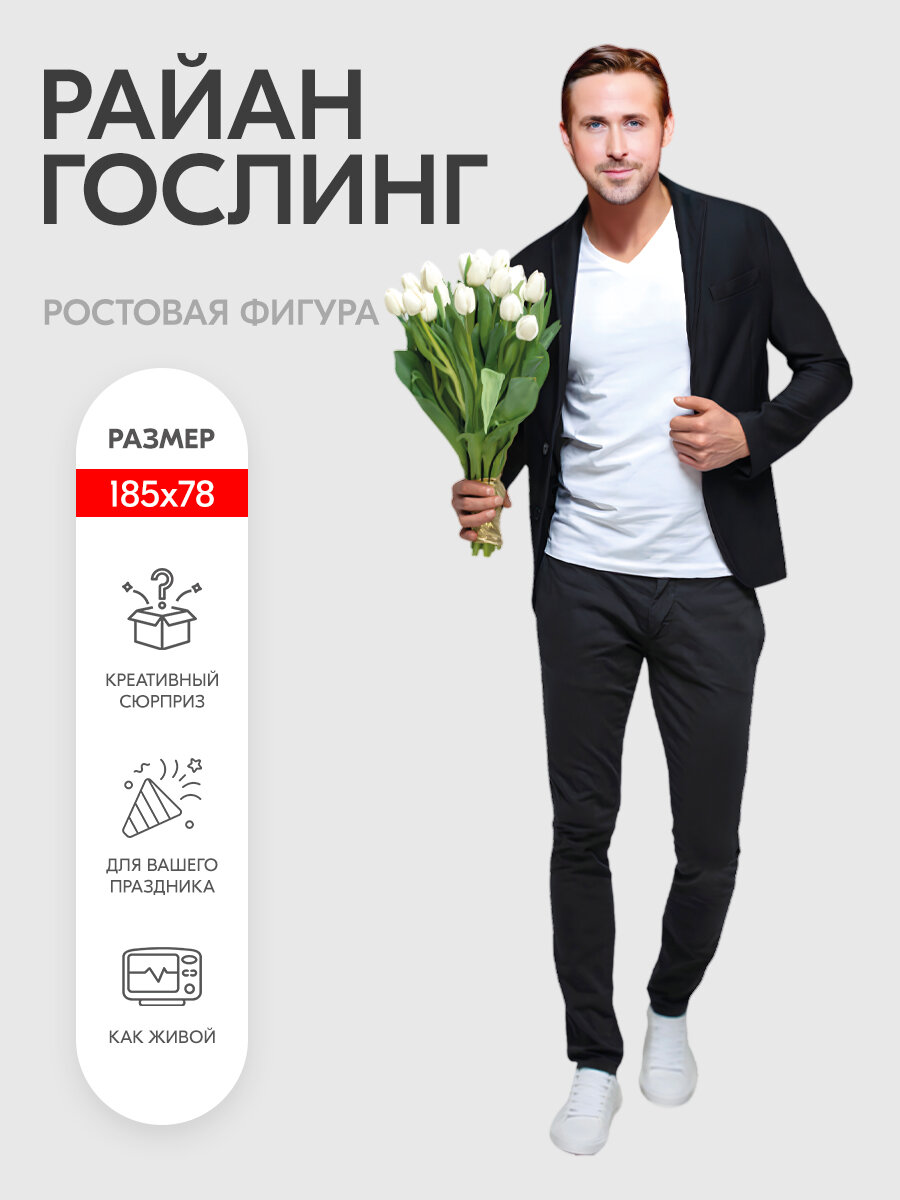 Аксессуар для фотосессий, Indoor-ad, Райан Гослинг ростовая фигура