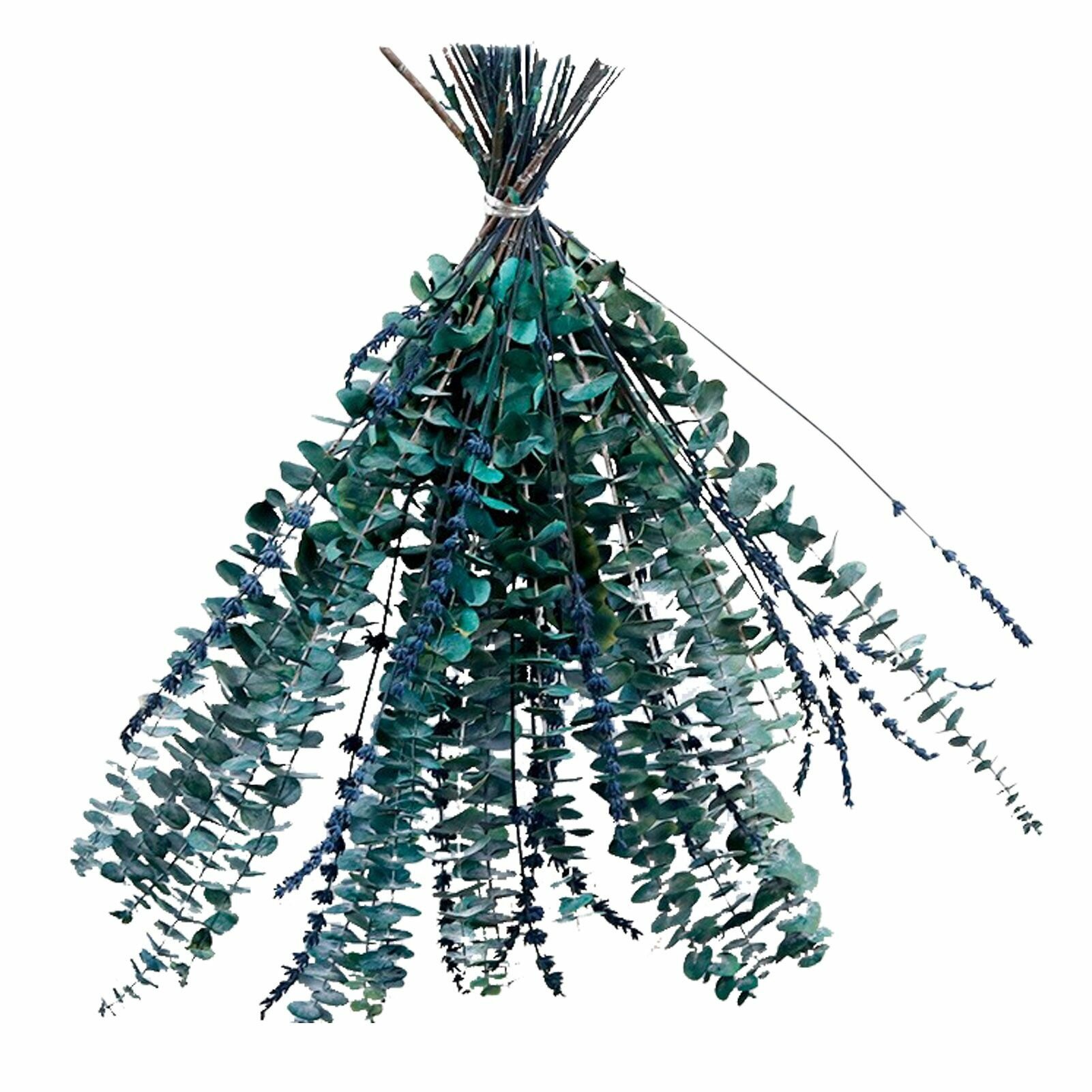 Сушеные листья эвкалипта натуральный декор для ванной и дома,