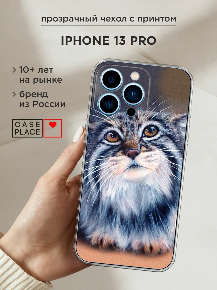 Чехол на Apple iPhone 13 Pro / Айфон 13 Про с принтом "Кот манул 2"