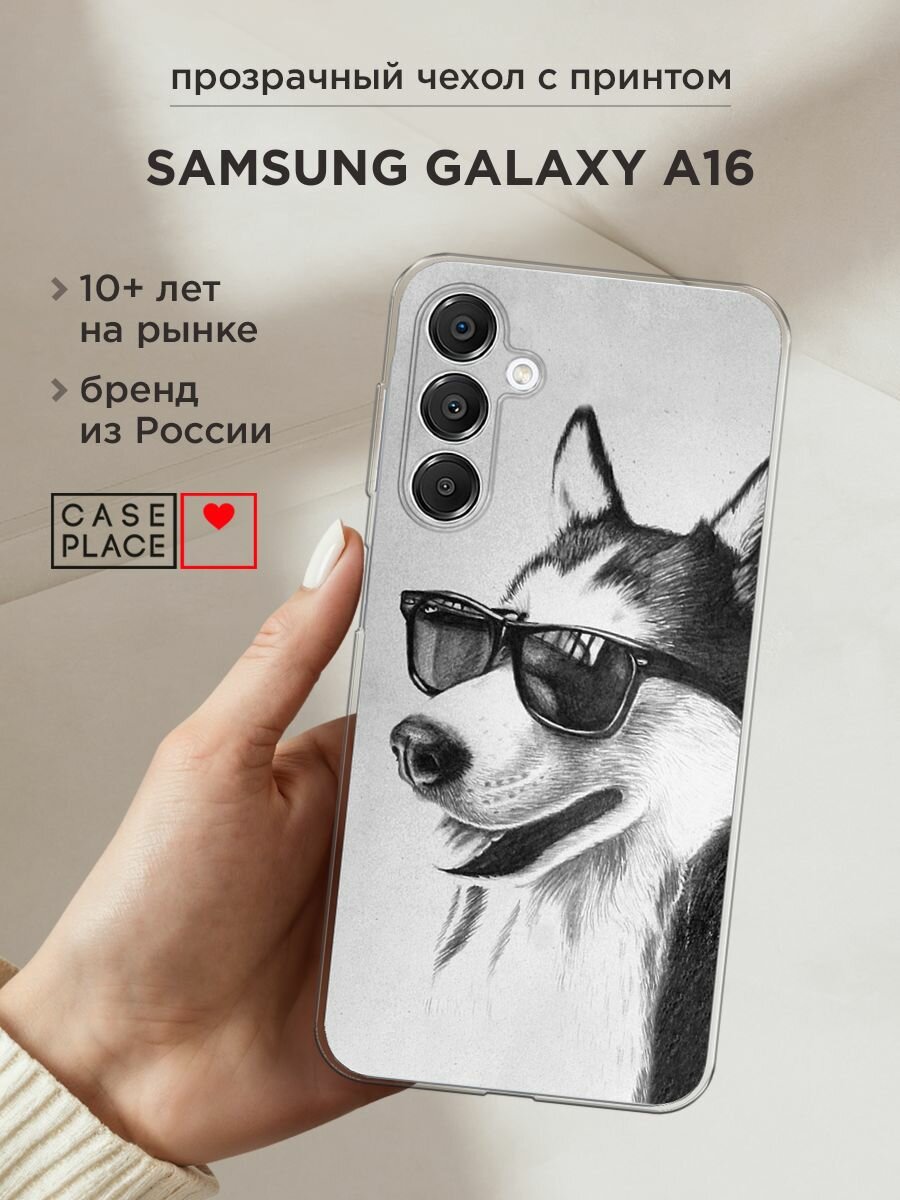 Чехол на Samsung Galaxy A16 / Самсунг А16 с принтом "Крутой Хаске"