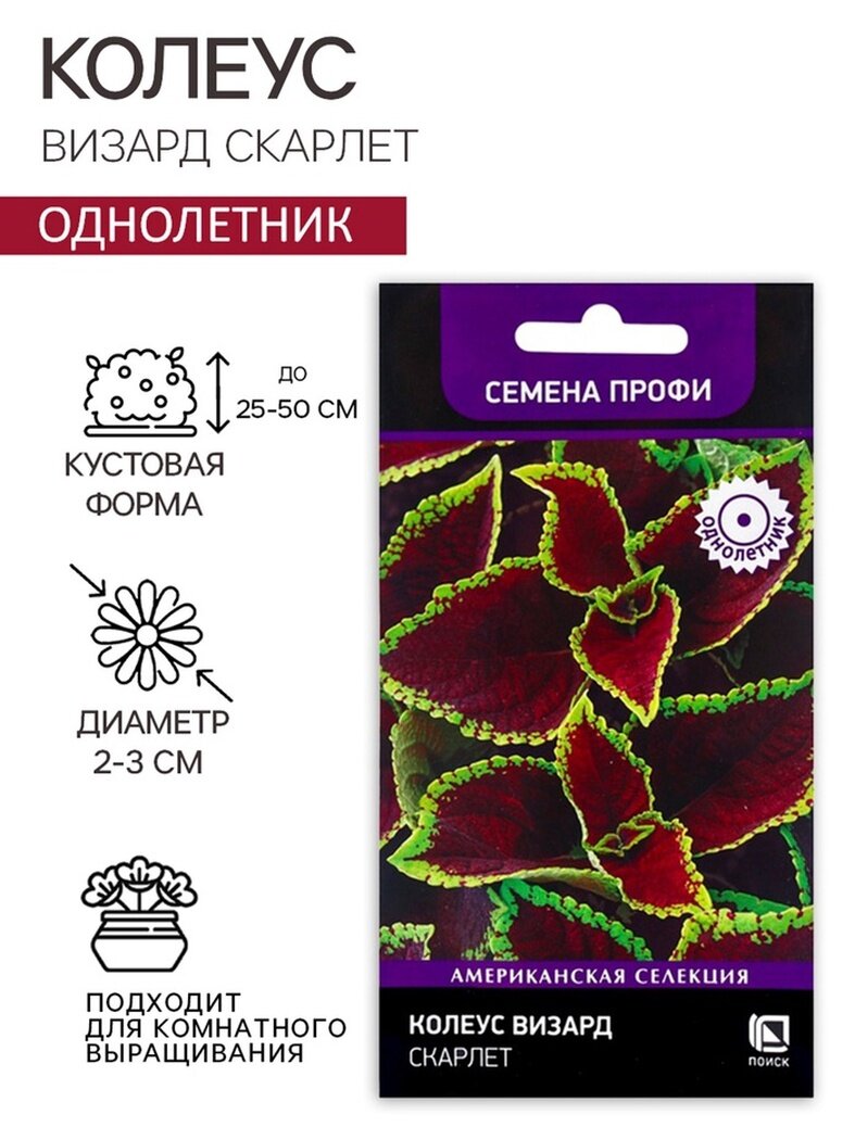 Семена цветов поиск "Колеус Визард Скарлет", низкорослый, однолетний, 10 шт