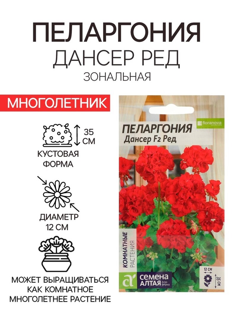 Семена цветов Пеларгония "Дансер Ред", зональная, Сем. Алт, ц/п, 4 шт