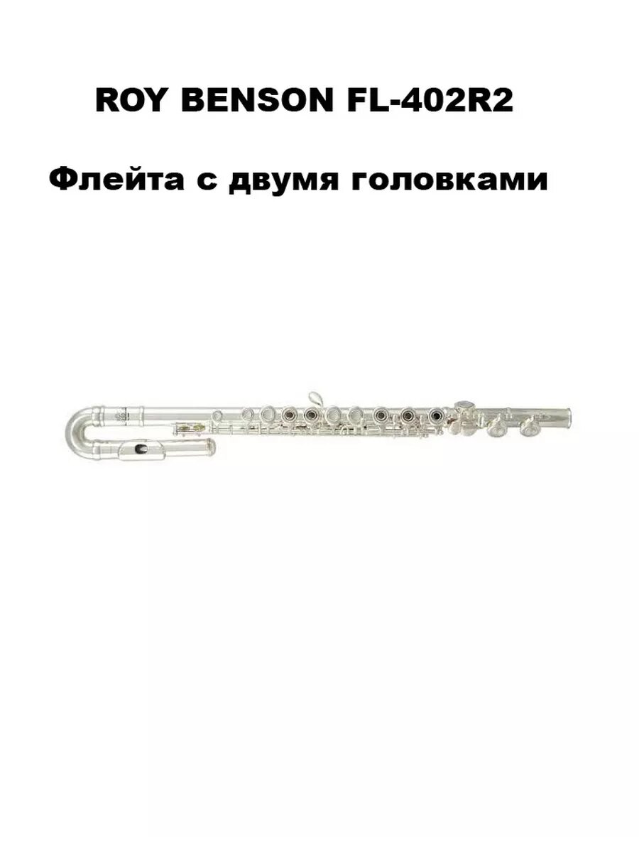 ROY BENSON FL-402R2 - Флейта с двумя головками