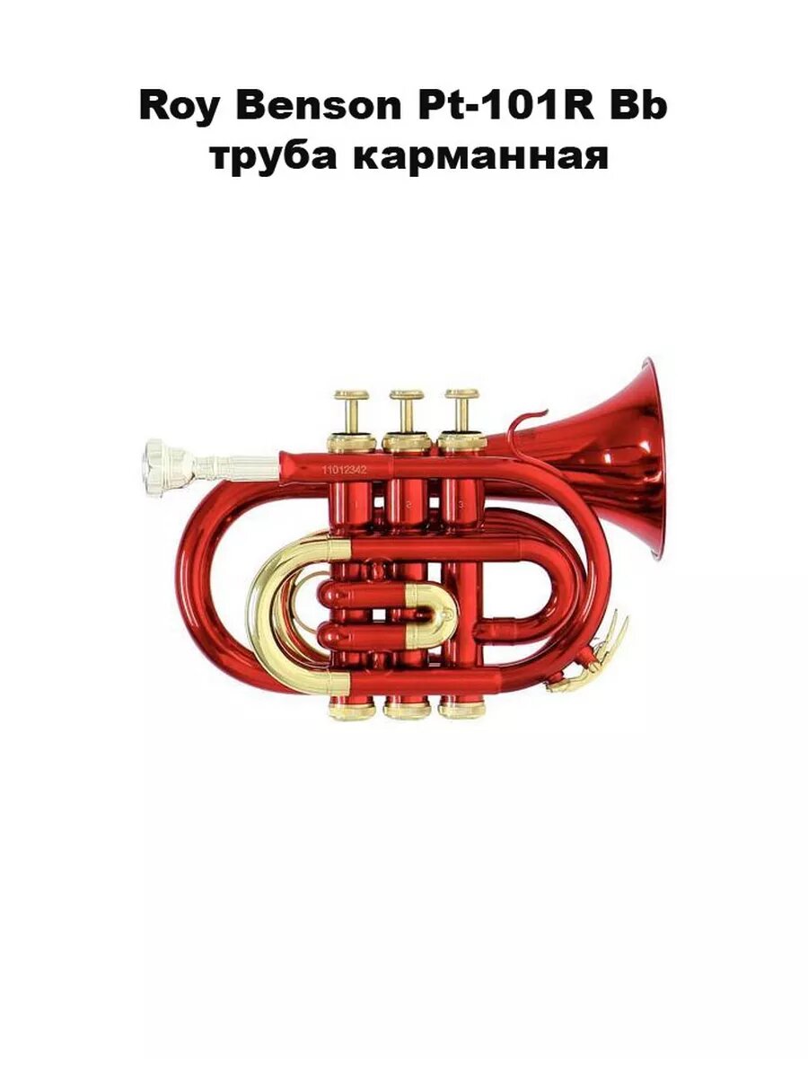 Roy Benson Pt-101R Bb - труба карманная