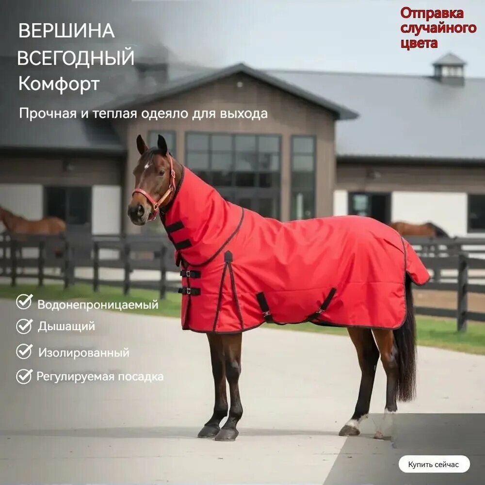 Попона для лошади утепленная зимняя, непромокаемая, с наполнителем