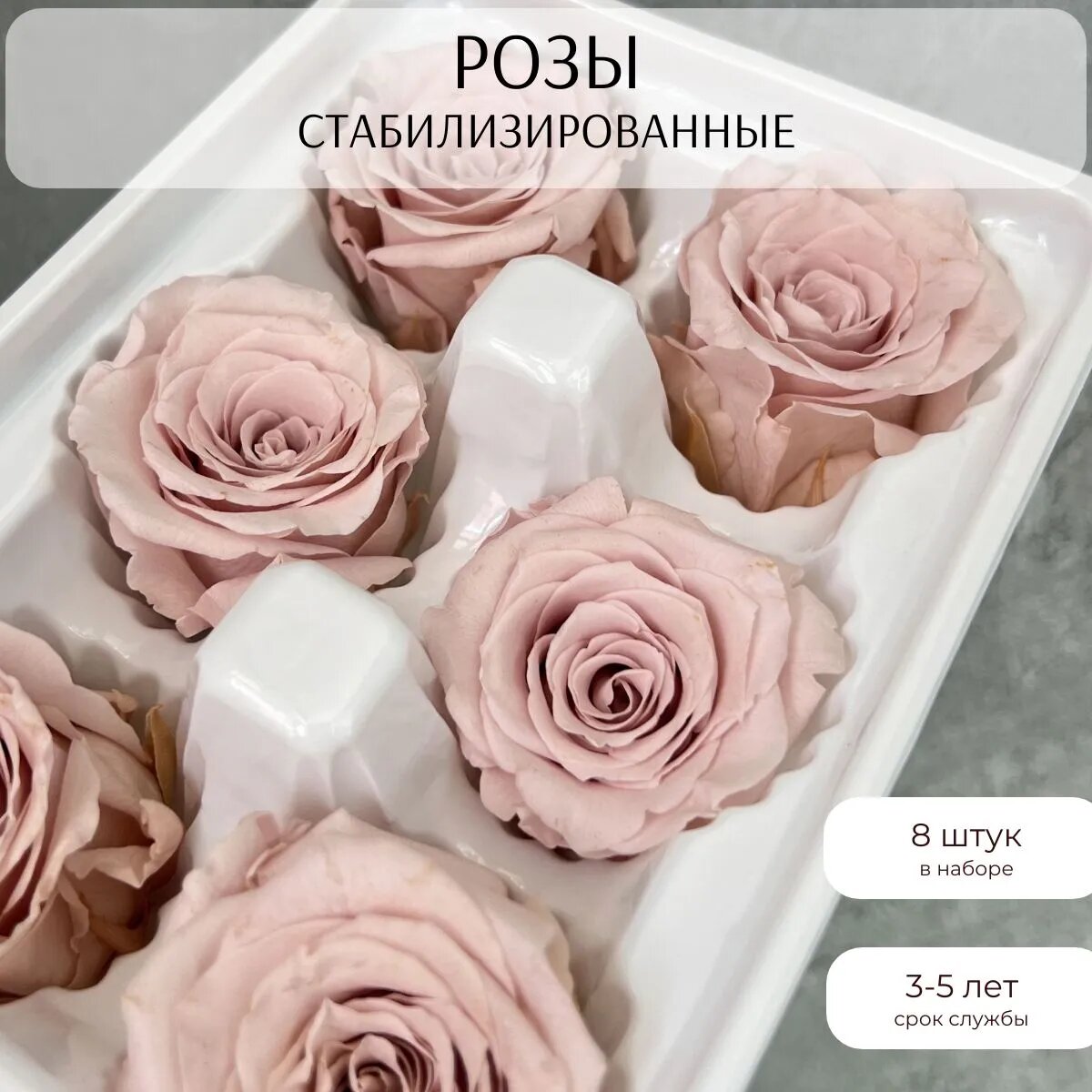 Стабилизированные цветы Анемона, 4 см, 250 гр, 8 шт