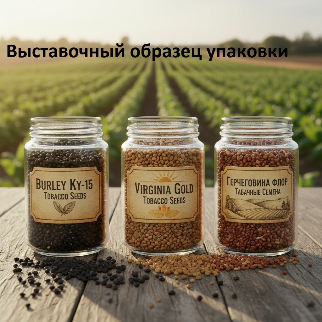 Комплект из семян 3-х сортов Burley-KY, Virginia Gold (Германия), Герцеговина Флор (3х500 шт)