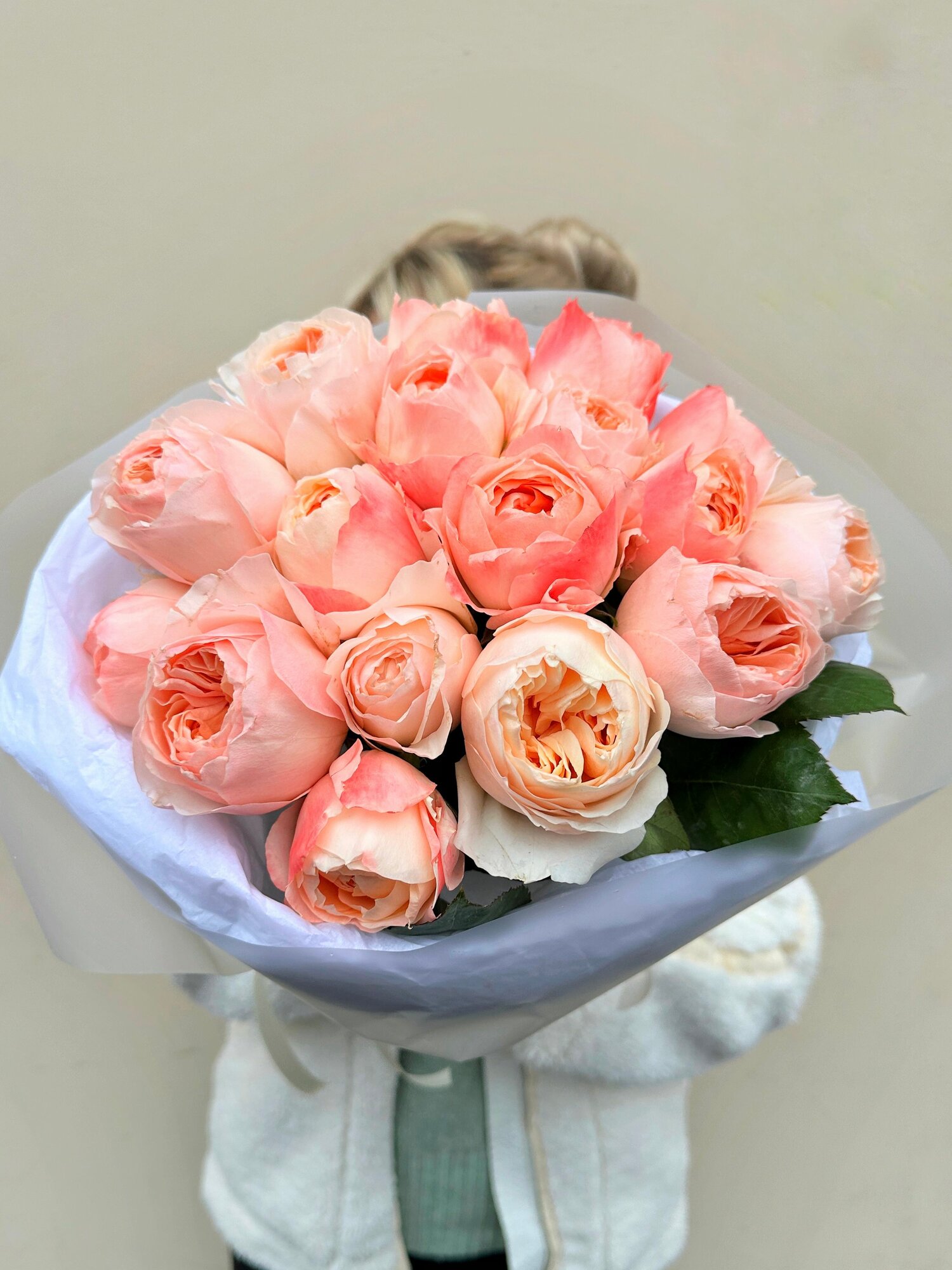 Букет цветов из 15 персиковых пионовидных роз премиум сорт дэвид остин, высота 50 см