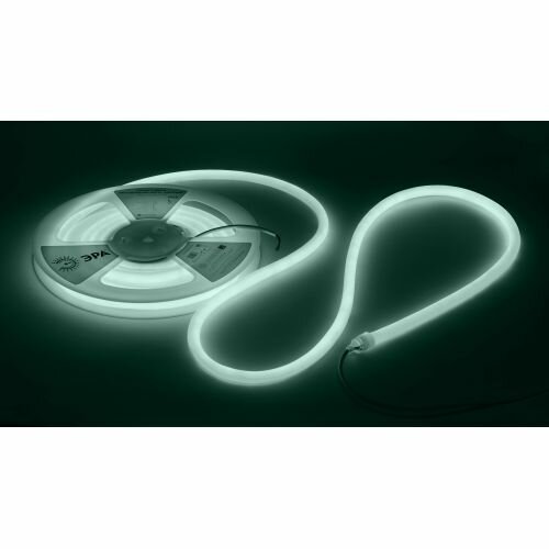 Лента светодиодная LS2835-9.6-120-24-6500K-IP68-5м 24В термостойкая для бани холод. бел. в комплекте: 2 заглушки; 10 крепежей (уп.5м) Эра, ЭРА Б0062329 (1 шт.)