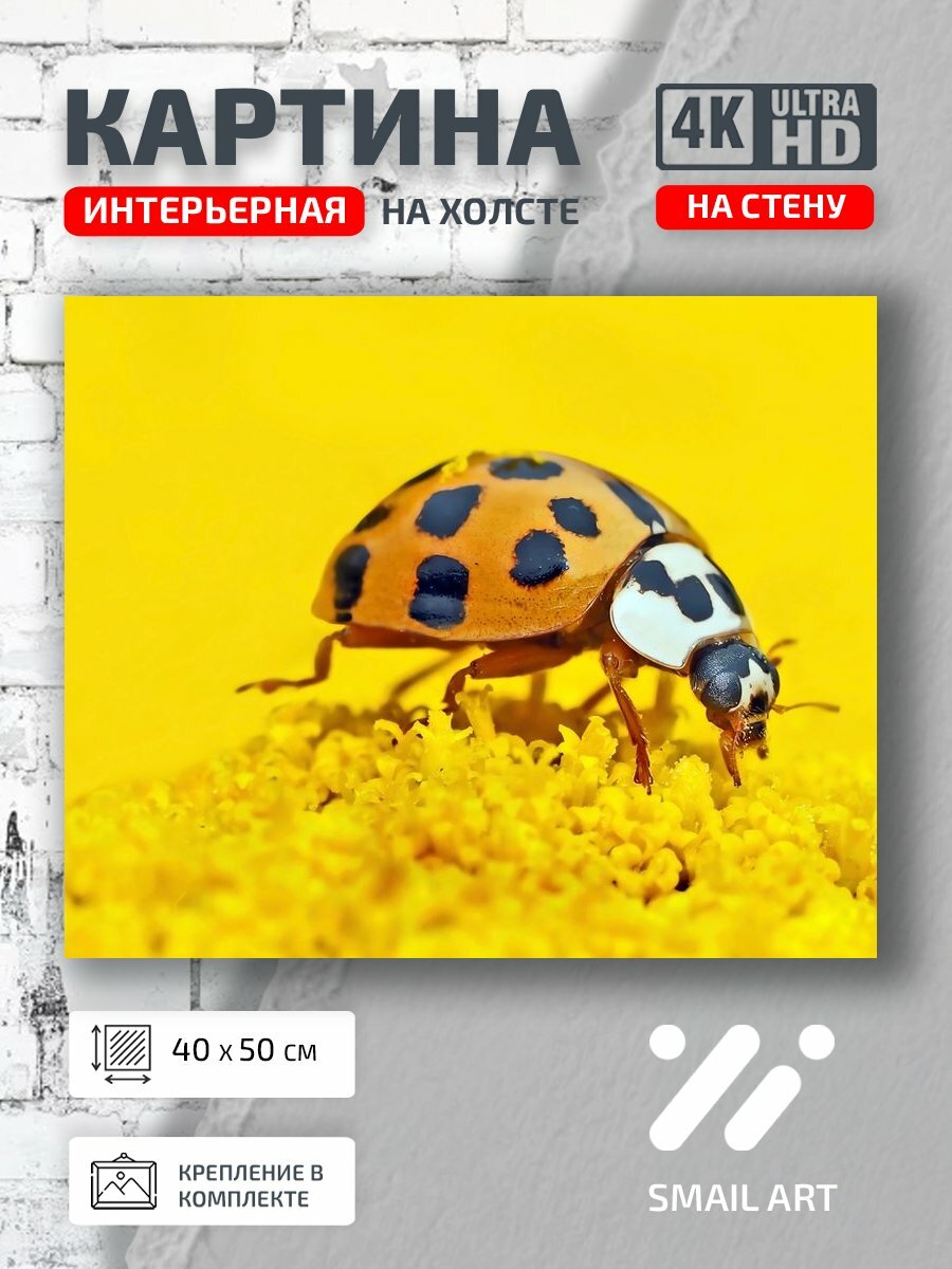 Картина на холсте интерьерная 40 на 50 на стену Желтый Macro для спальни макро интерьер