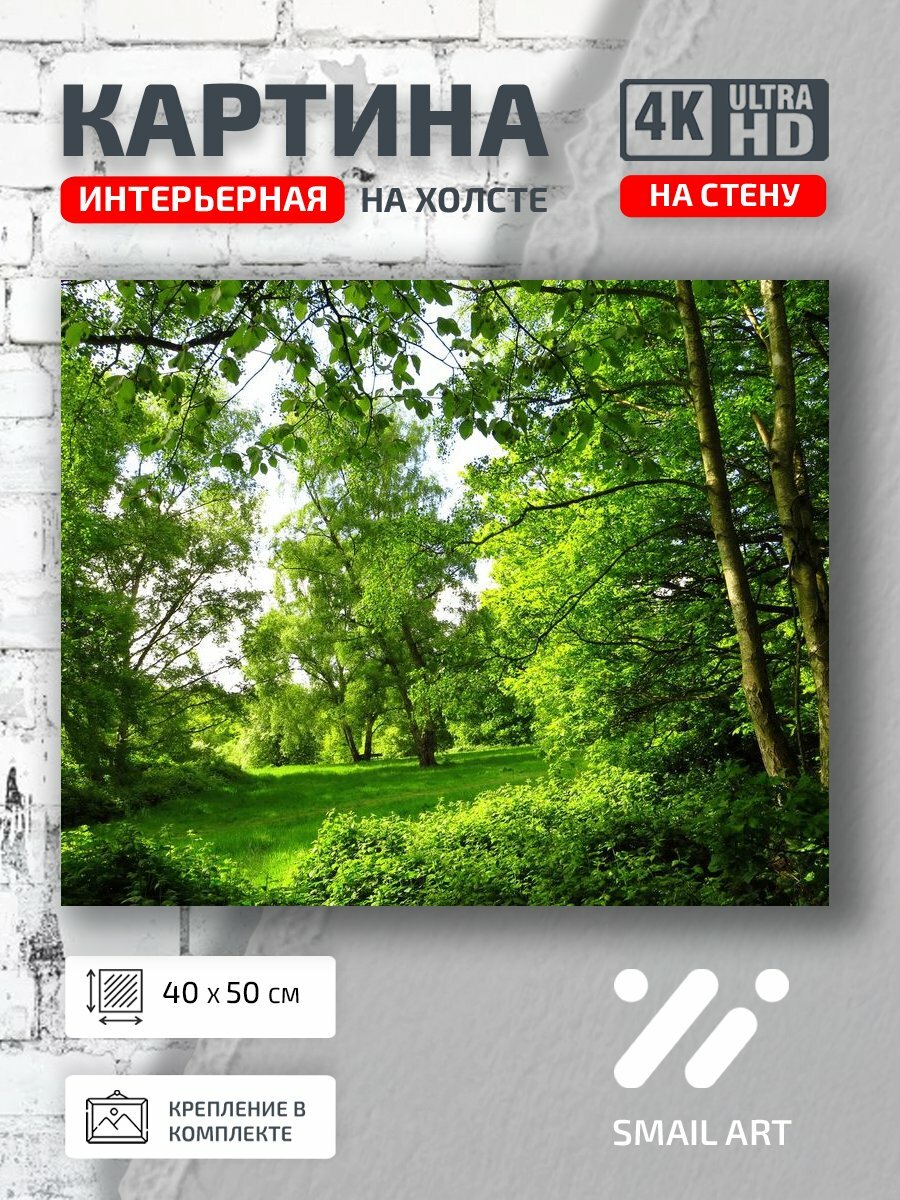 Картина на холсте интерьерная 40 на 50 на стену Лес Landscape для кабинета пейзаж интерьер