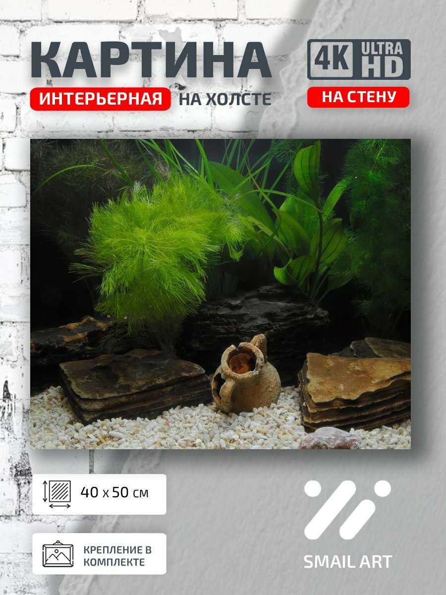 Картина на холсте интерьерная 40 на 50 на стену Аквариума Mood для студии атмосфера декор