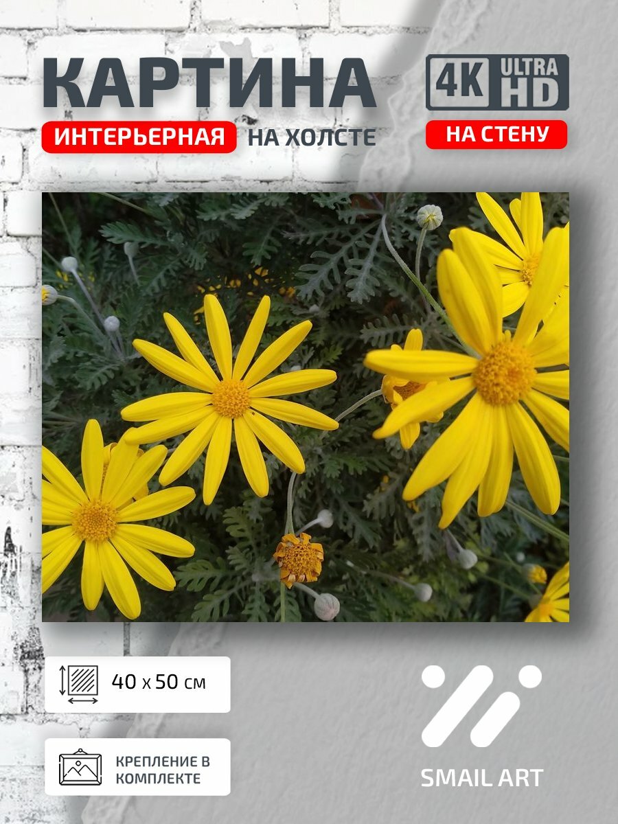 Картина на холсте интерьерная 40 на 50 на стену Куст Mood для студии атмосфера интерьер