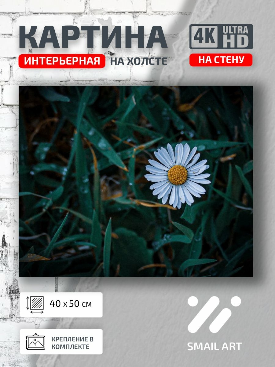Картина на холсте интерьерная 40 на 50 на стену Капли Mood для кабинета атмосфера интерьер