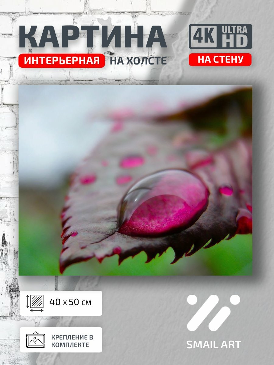 Картина на холсте интерьерная 40 на 50 на стену Капли Macro для гостиной макро интерьер
