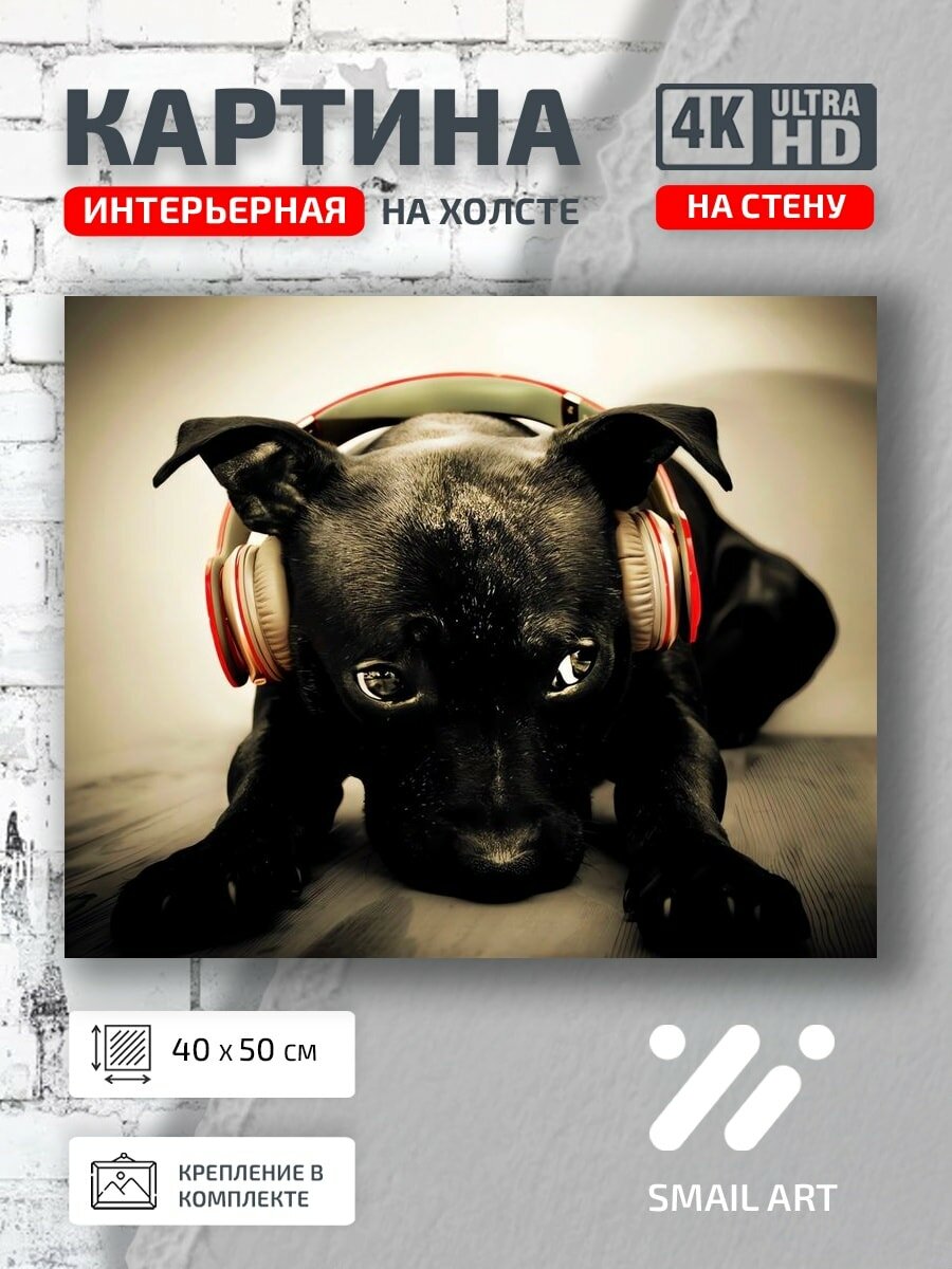 Картина на холсте интерьерная 40 на 50 на стену Животные Dog для детской animal style