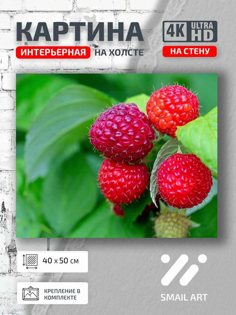Картина на холсте интерьерная 40 на 50 на стену Спелая Food для гостиной кулинария интерьер