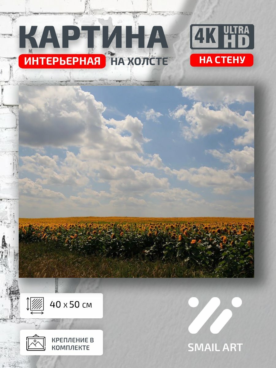 Картина на холсте интерьерная 40 на 50 на стену Лето Landscape для гостиной пейзаж интерьер